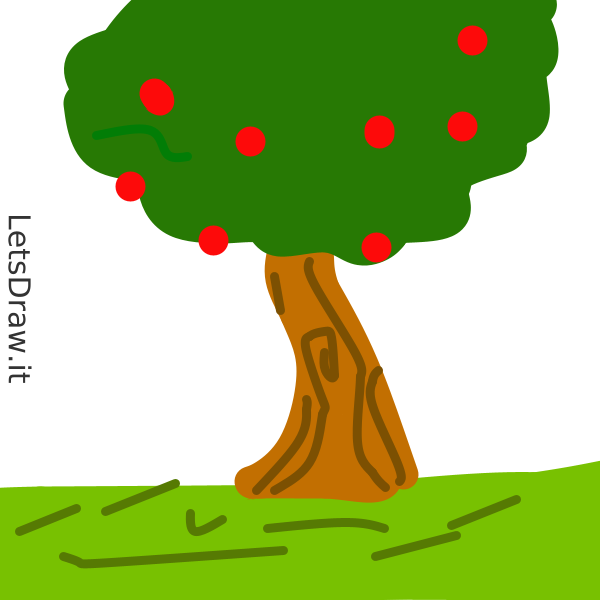 How to draw apple tree / qrfpjjuyp.png / LetsDrawIt