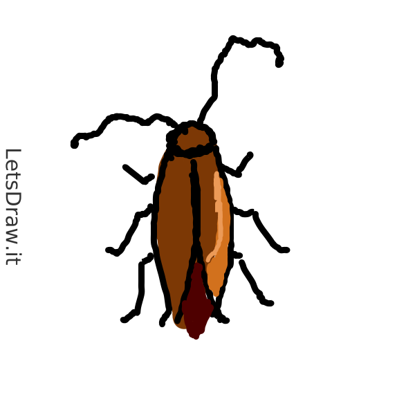How to draw roach / qsq81hpar.png / LetsDrawIt