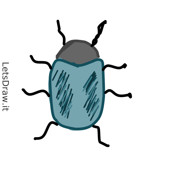 How to draw beatle / qzszew1m9.png / LetsDrawIt