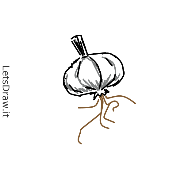 How to draw garlic / r4e7byxiu.png / LetsDrawIt