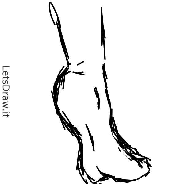 How to draw ankle / r8trpx9eu.png / LetsDrawIt