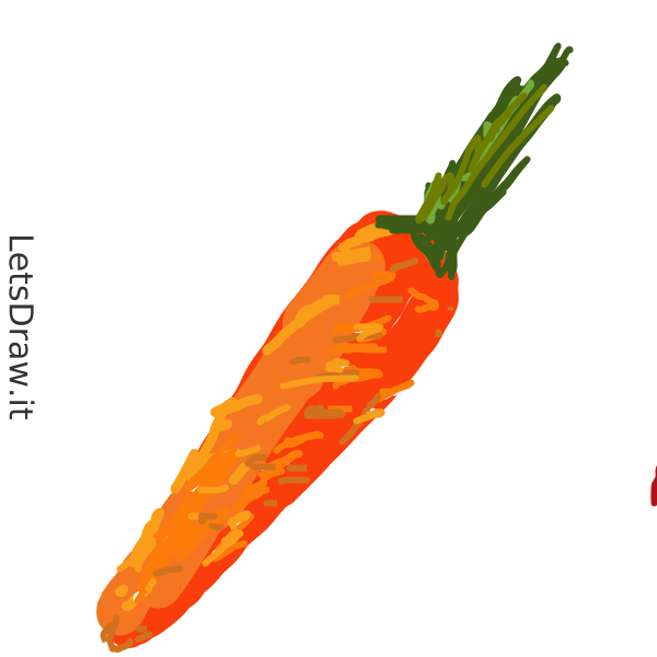 How to draw carrot / raupq96mh.png / LetsDrawIt