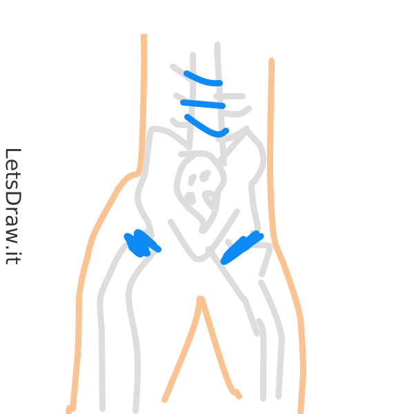 How to draw hip / rdhamkyxe.png / LetsDrawIt