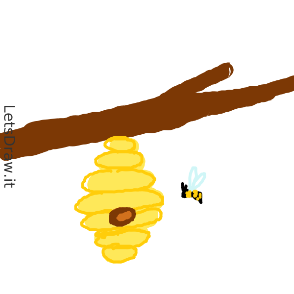 How to draw bee hive / rdsaxs53d.png / LetsDrawIt