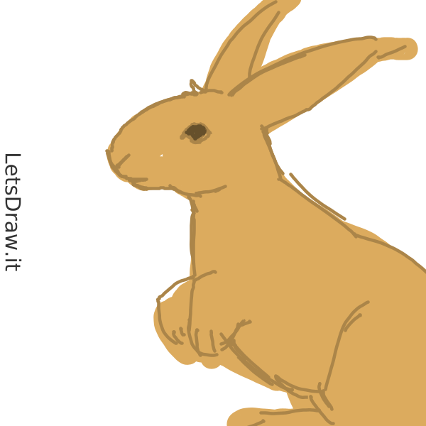 How to draw rabbit / re5fxeszy.png / LetsDrawIt