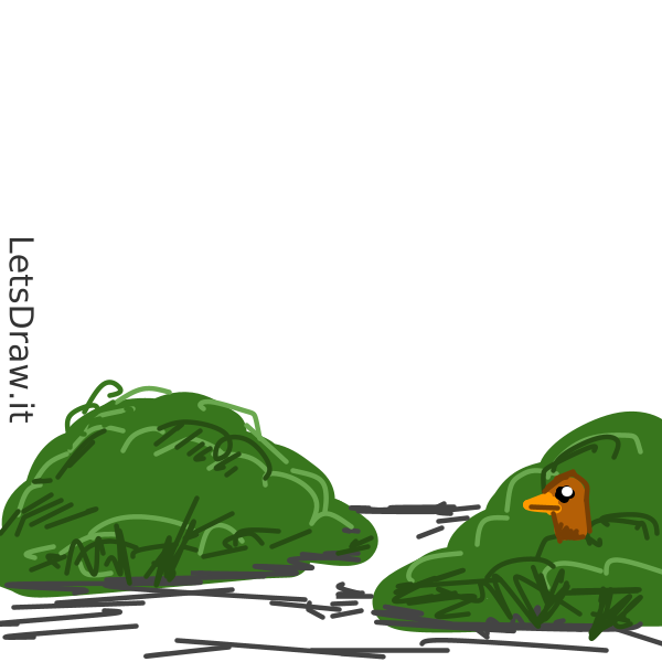 How to draw Bushes / rf81d5o5s.png / LetsDrawIt