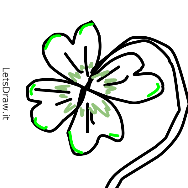 How to draw luck / rhi1g3cef.png / LetsDrawIt