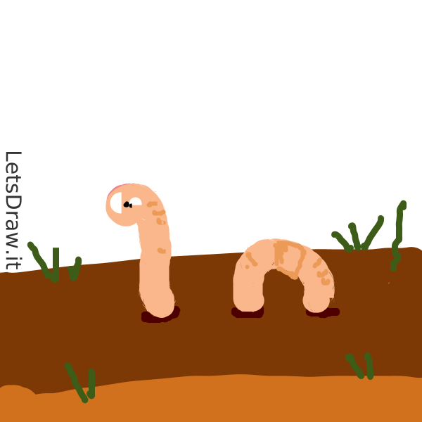 How to draw earthworm / rjcuod3a1.png / LetsDrawIt