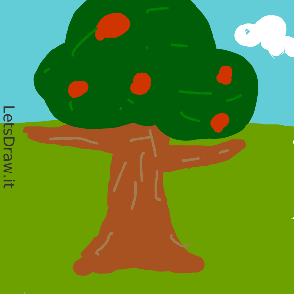 How to draw apple tree / rk99cz8nd.png / LetsDrawIt