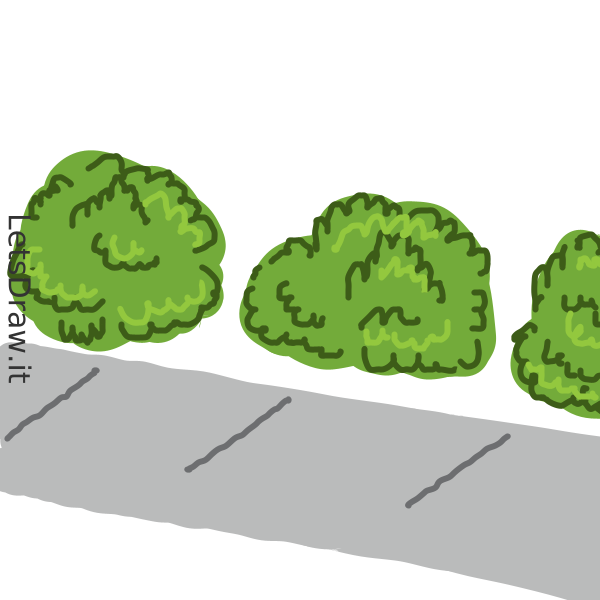 How to draw bush / ronrtgkfd.png / LetsDrawIt