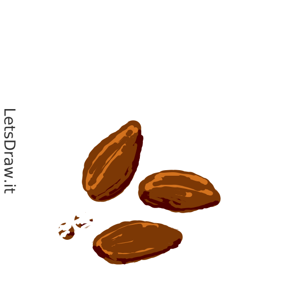How to draw almond / rp4c11pwd.png / LetsDrawIt