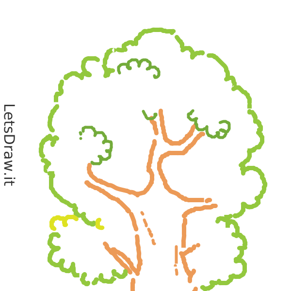 How to draw trees / rqbctzr3u.png / LetsDrawIt