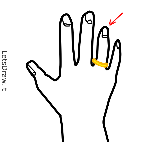 How to draw ring finger / rsxomroe9.png / LetsDrawIt