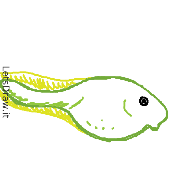 How to draw tadpole / rtzhuy1js.png / LetsDrawIt
