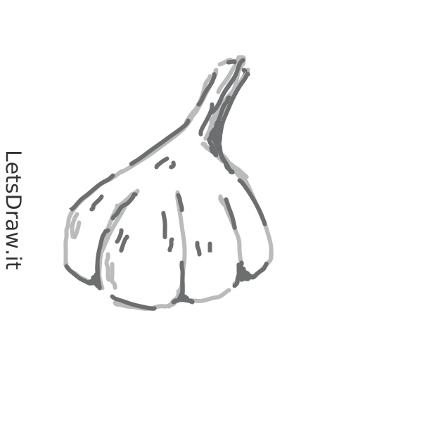 How to draw garlic / ruy6omyn4.png / LetsDrawIt
