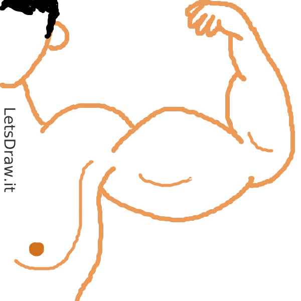How to draw muscles / rwg61wxcj.png / LetsDrawIt