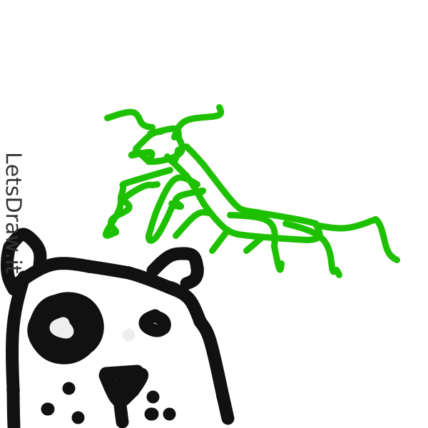 How to draw animal / rx5xcrcth.png / LetsDrawIt