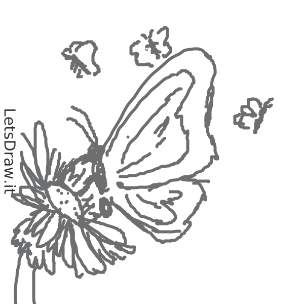 How to draw butterflies / rygiqxxsc.png / LetsDrawIt
