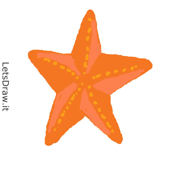 How to draw starfish / s3jcqadio.png / LetsDrawIt