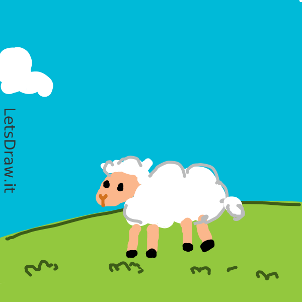How to draw sheep / s4atxhhmp.png / LetsDrawIt