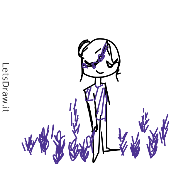 How to draw lavender / s4ih85kx.png / LetsDrawIt