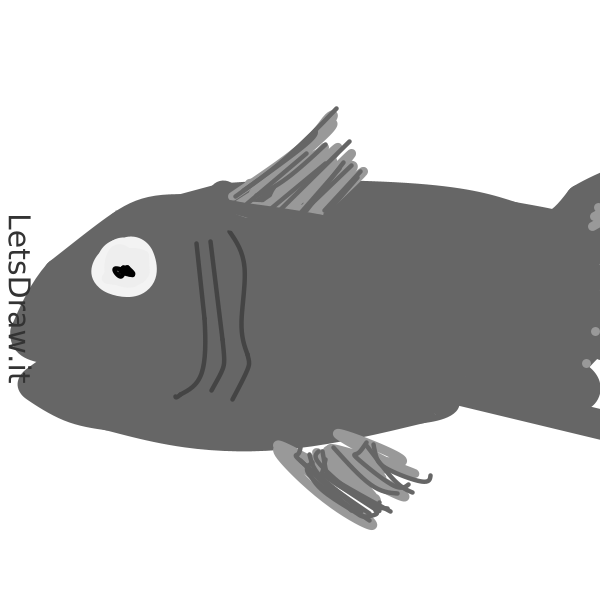 How to draw fish / s5drg5km5.png / LetsDrawIt