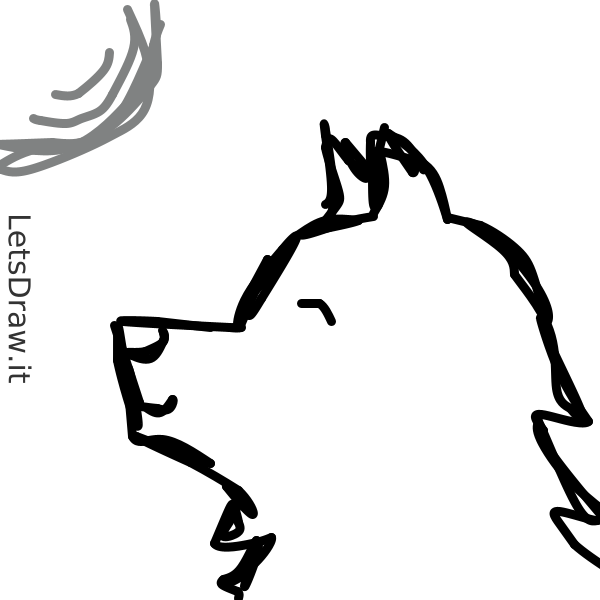 How to draw animal / Learn to draw from other LetsdrawIt players