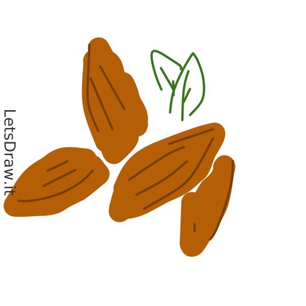 How to draw almond / s7qn8du8e.png / LetsDrawIt