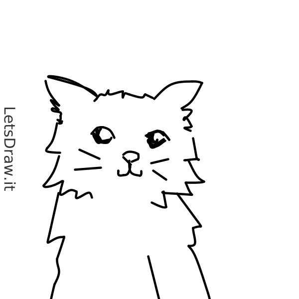 How to draw cats / LetsDrawIt