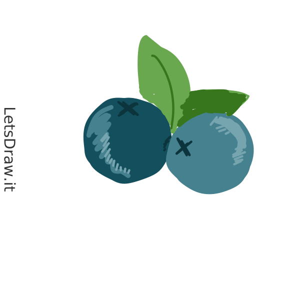 How to draw blueberry / sawffhsd6.png / LetsDrawIt