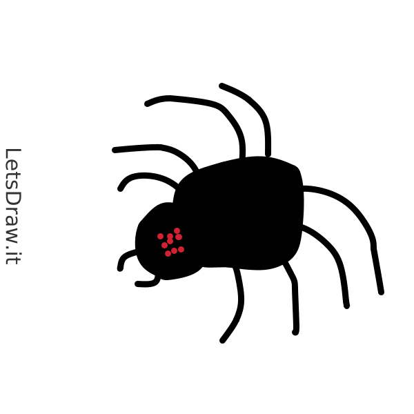 How to draw spider / sbqnkxrg.png / LetsDrawIt