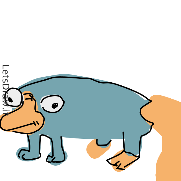 How to draw platypus / scxgei3bd.png / LetsDrawIt