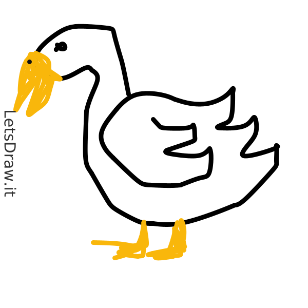 How to draw animal / scy1ctr11.png / LetsDrawIt