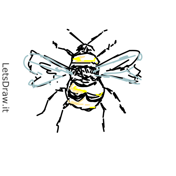 How to draw bumble-bee / sda68i4qy.png / LetsDrawIt