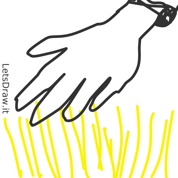 How to draw wheat / se77kfqm9.png / LetsDrawIt