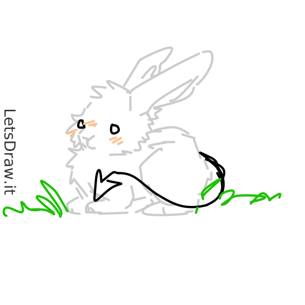 How to draw animal / sejgk9kap.png / LetsDrawIt