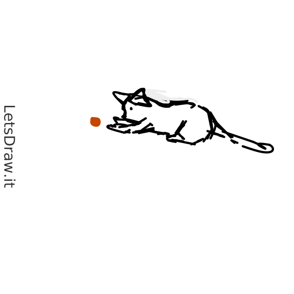 How to draw animal / sf6kprs58.png / LetsDrawIt