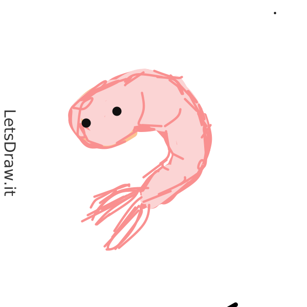 How to draw shrimps / sfmyk7a39.png / LetsDrawIt