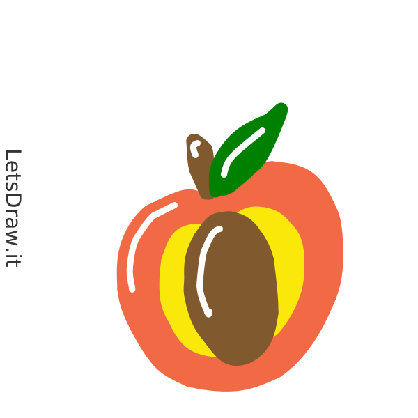 How to draw apricot / sge9j8jj.png / LetsDrawIt
