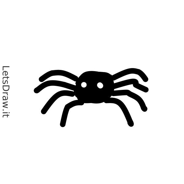 How to draw spider / sgy8cg4x5.png / LetsDrawIt