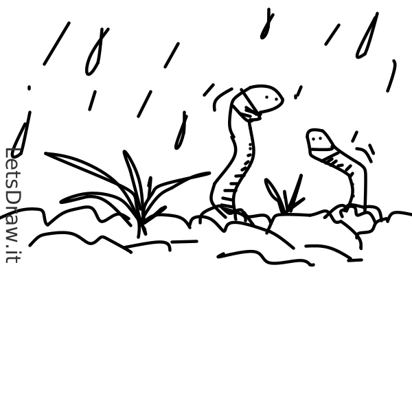 How to draw Worms / sifqd3e5j.png / LetsDrawIt