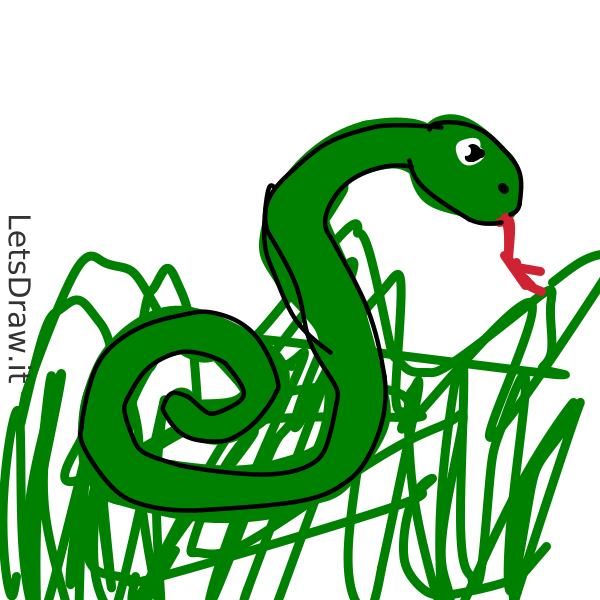 How to draw grass snake / sopmfbwdi.png / LetsDrawIt