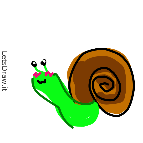 How to draw snail / sr5acofet.png / LetsDrawIt