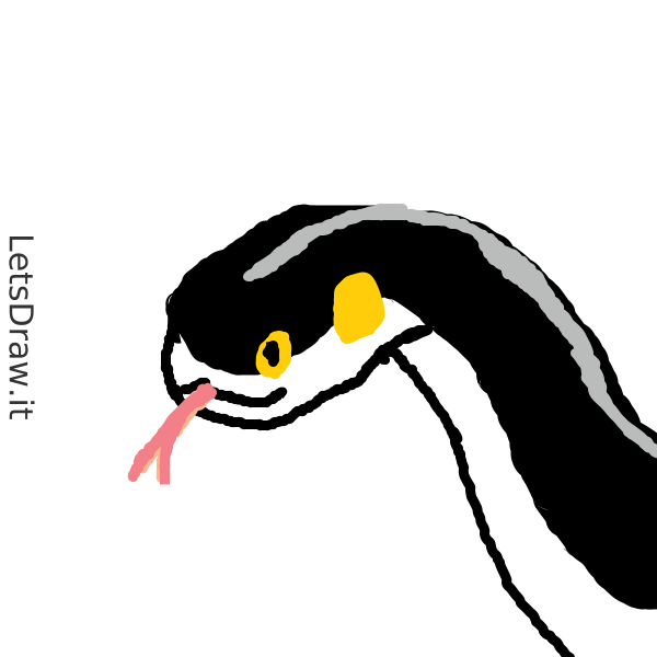 How to draw grass snake / st19qb4qd.png / LetsDrawIt
