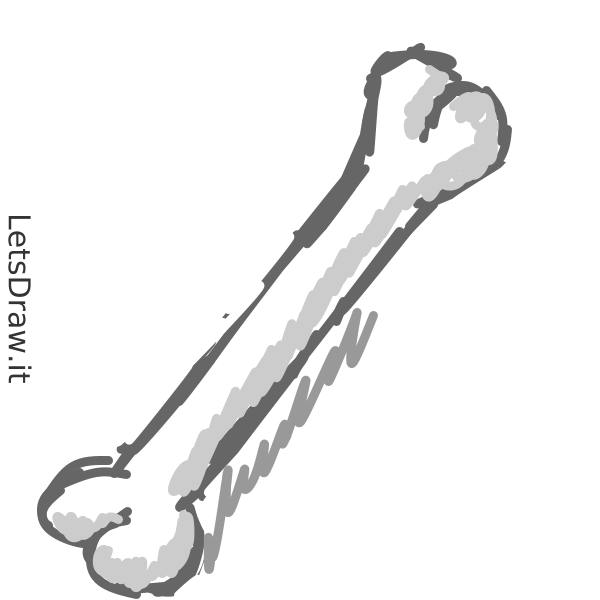 How to draw bone / Learn to draw from other LetsdrawIt players