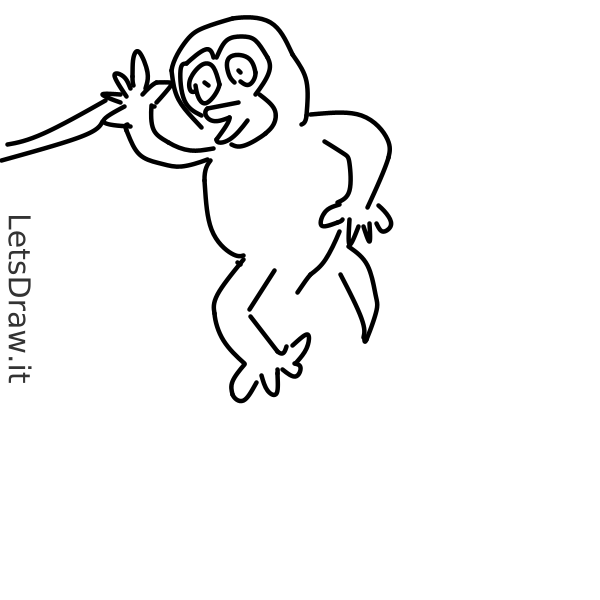 How to draw monkey / t35ag5dy9.png / LetsDrawIt