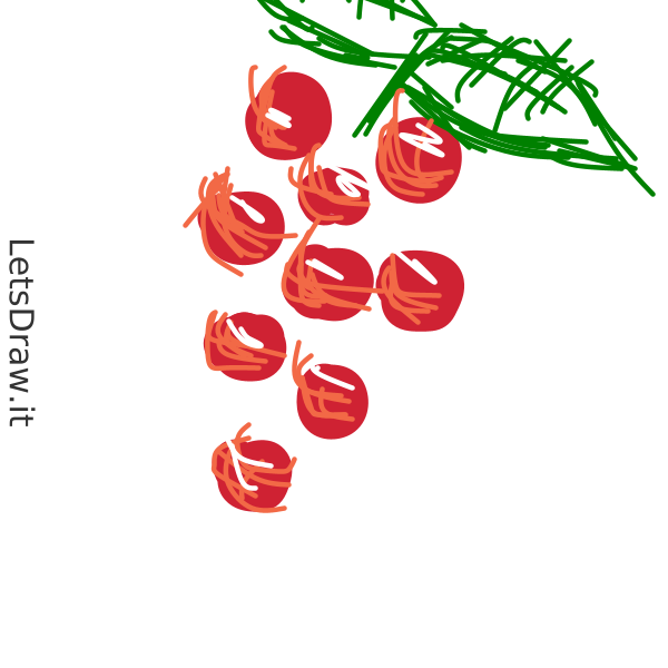 How to draw red grapes / t8bgrjnbf.png / LetsDrawIt