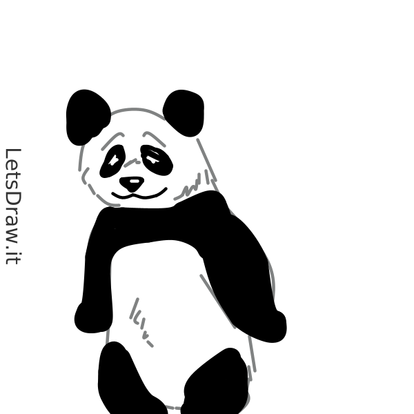 Standing Panda Bear Drawing