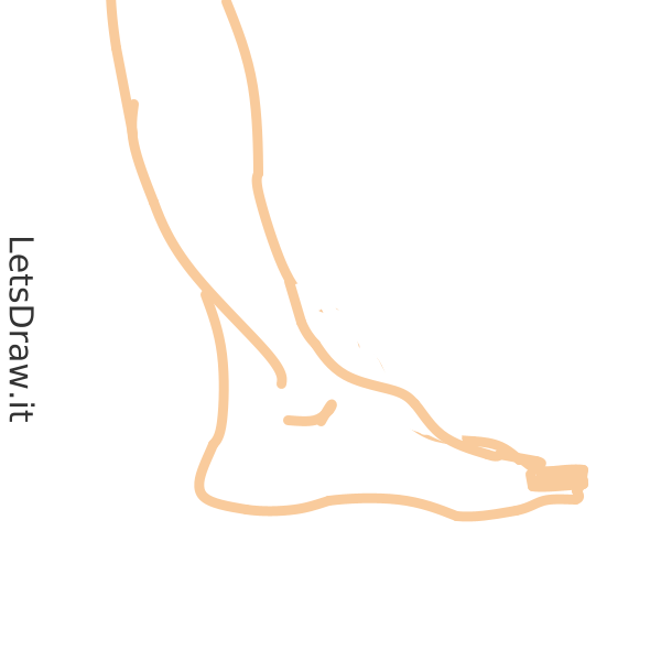 How to draw feet / tbwpej4xt.png / LetsDrawIt