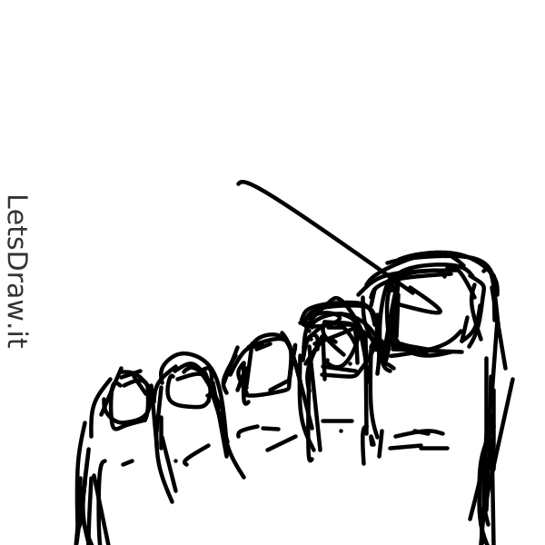 How to draw toenail / tcw6prkry.png / LetsDrawIt